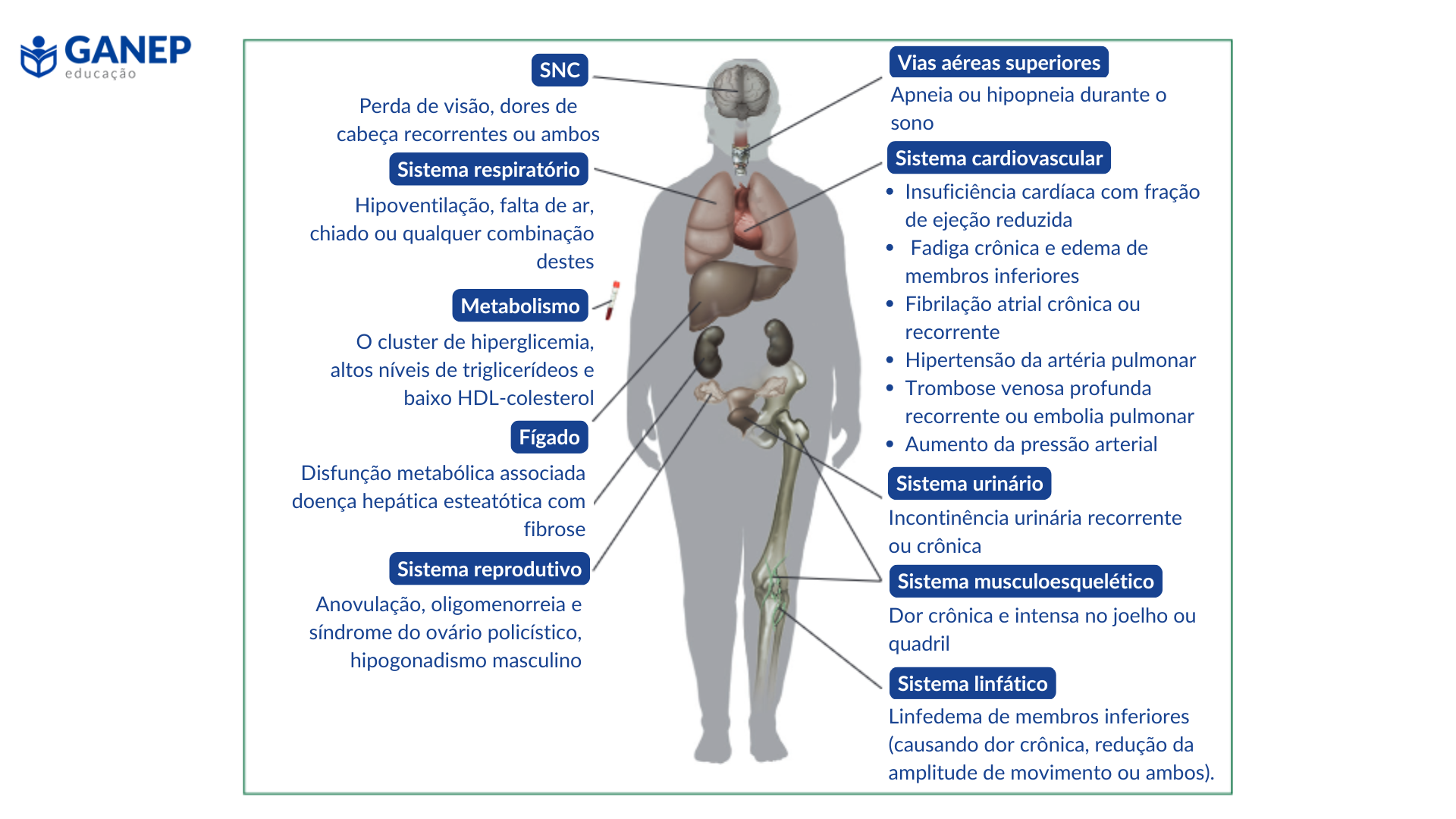 Obesidade é doença? Entenda mudanças de definição e diagnóstico ...