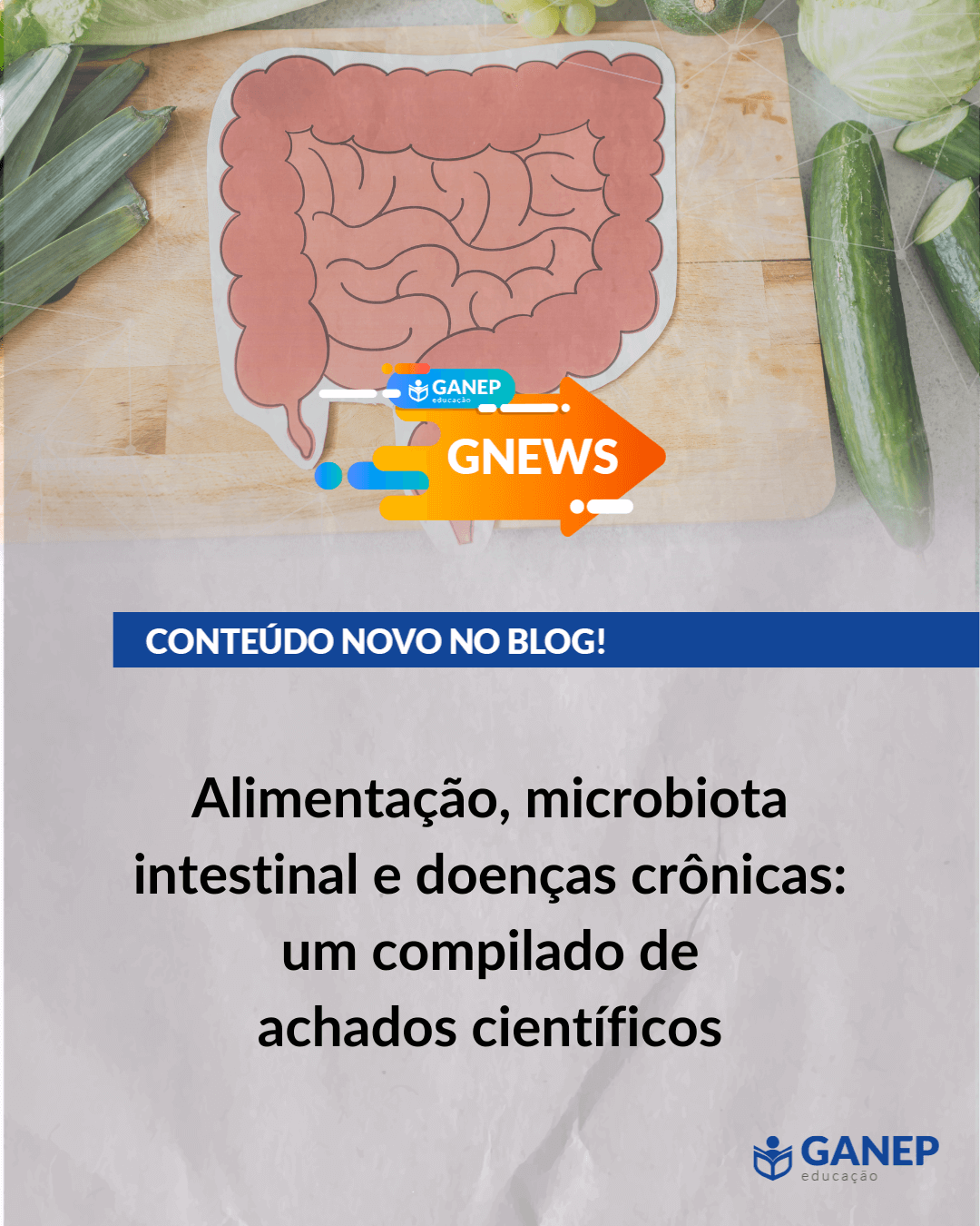 Alimentação, microbiota intestinal e doenças crônicas: um compilado de ...